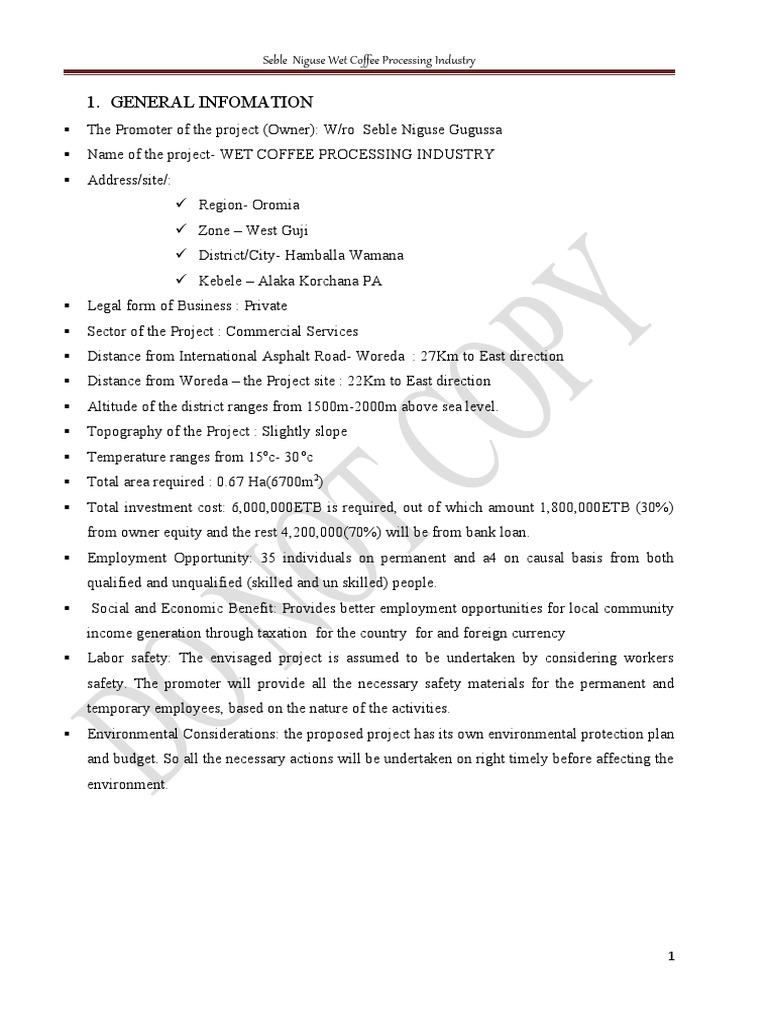 Business Plan Wet Coffee | PDF | Coffee | Depreciation