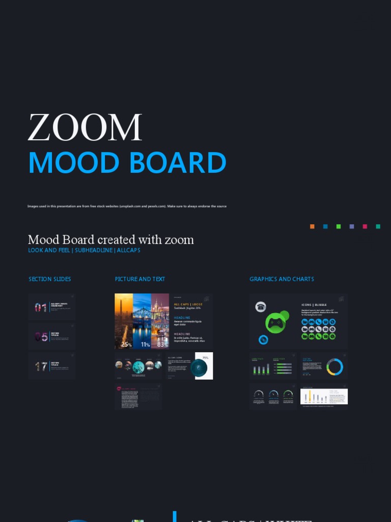 Zoom Basic Functions - Final | PDF