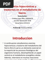 Hemosiderina y Hemosiderosis: Diagnóstico y Efectos | PDF