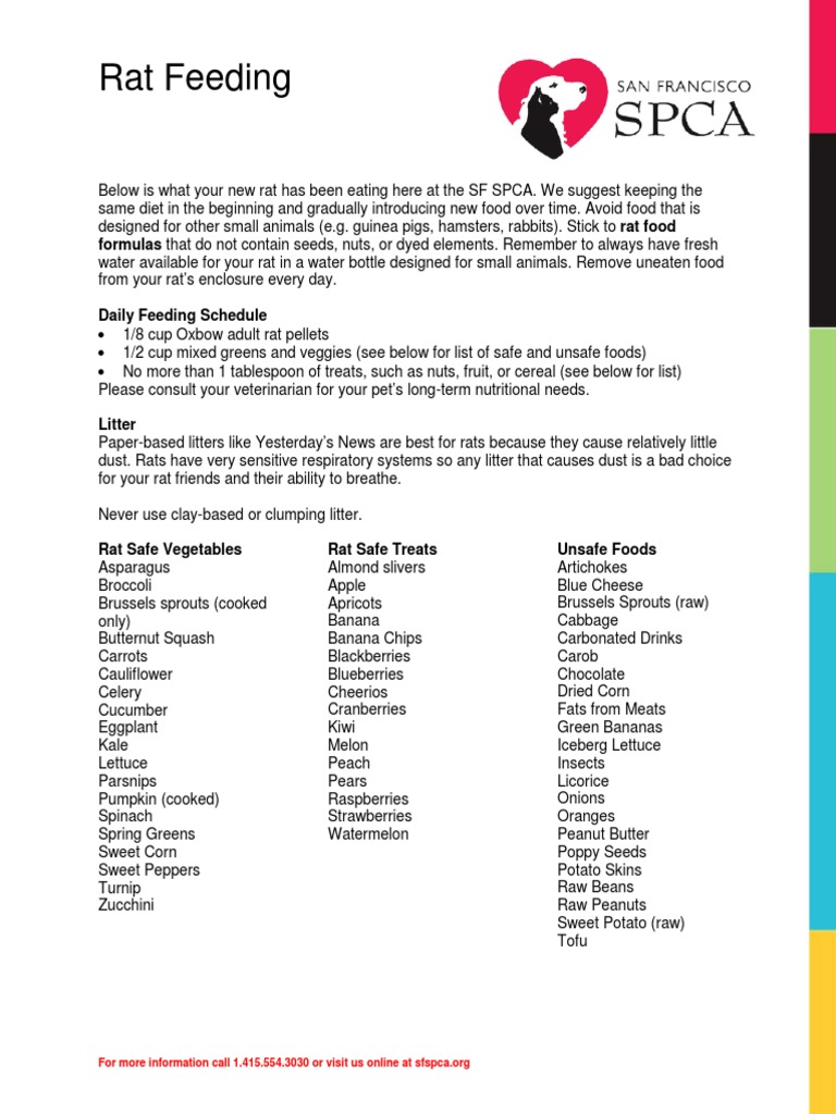 SF SPCA Rat Diet and Feeding Guide | PDF | Vegetables | Foods