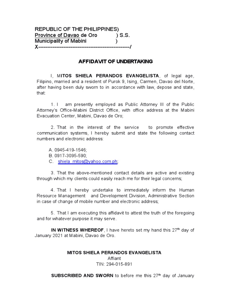 Affidavit of Undertaking | PDF