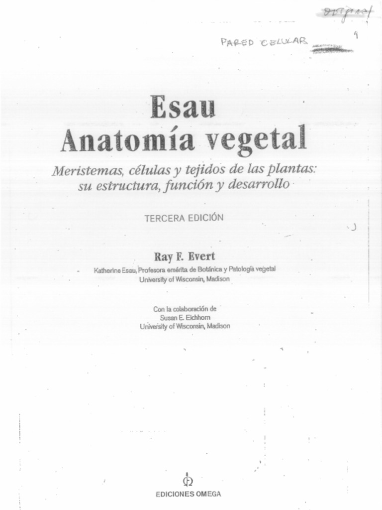 Anatomia Vegetal Esau | PDF
