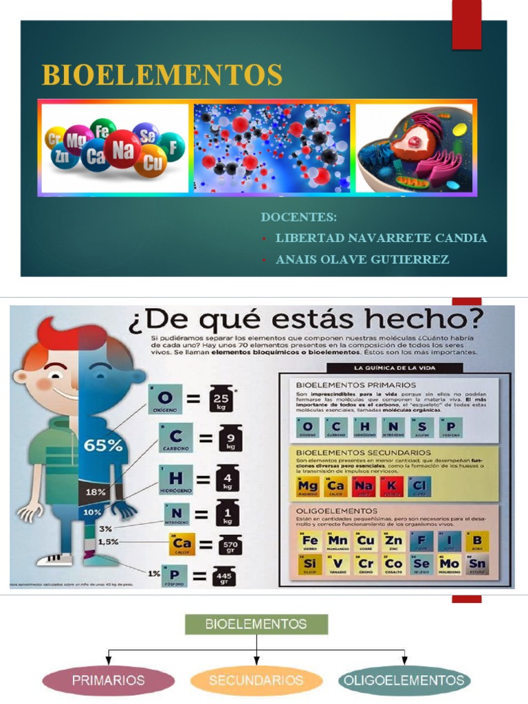 Bioelementos | PDF