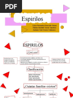 Morfología de los Espirilos Bacterianos | PDF | Las bacterias ...