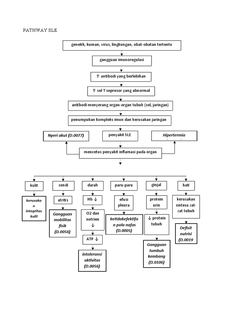 Pathway Sle | PDF