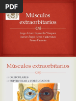 Músculo Corrugador Superciliar: Función y Anatomía | PDF