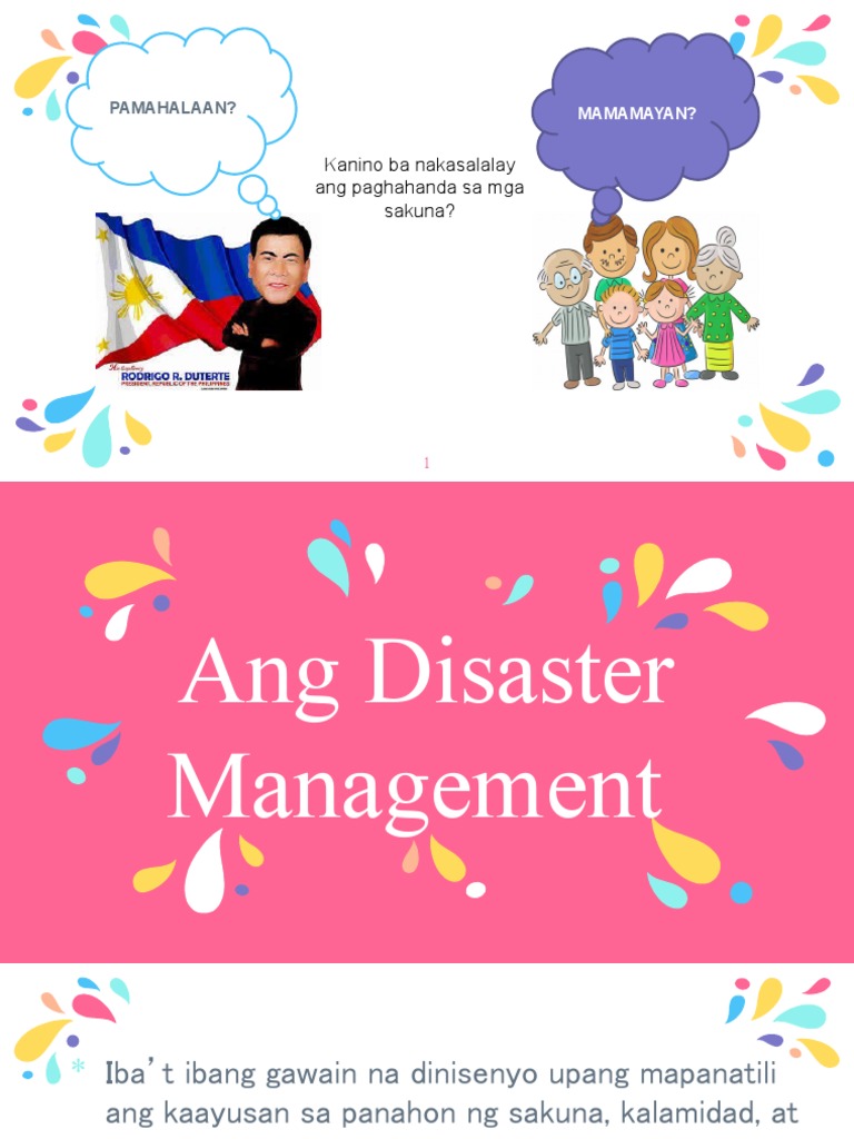 Disaster Management | PDF