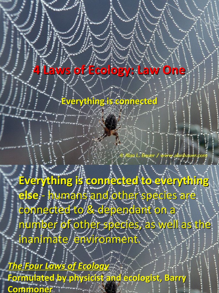 5 Laws of Ecology Law One | PDF | Science & Mathematics