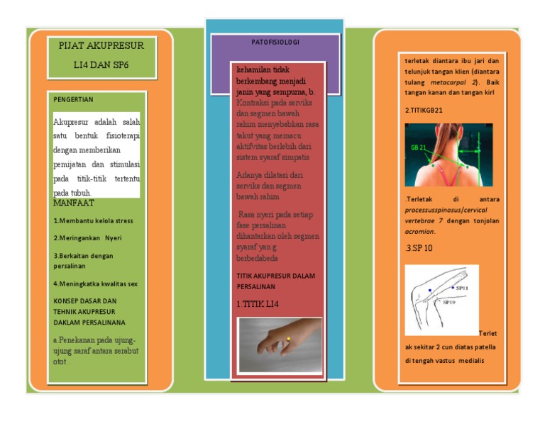 LBR 1 LEFLET PIJAT LI4 Dan SP6 | PDF | Kesehatan Holistik