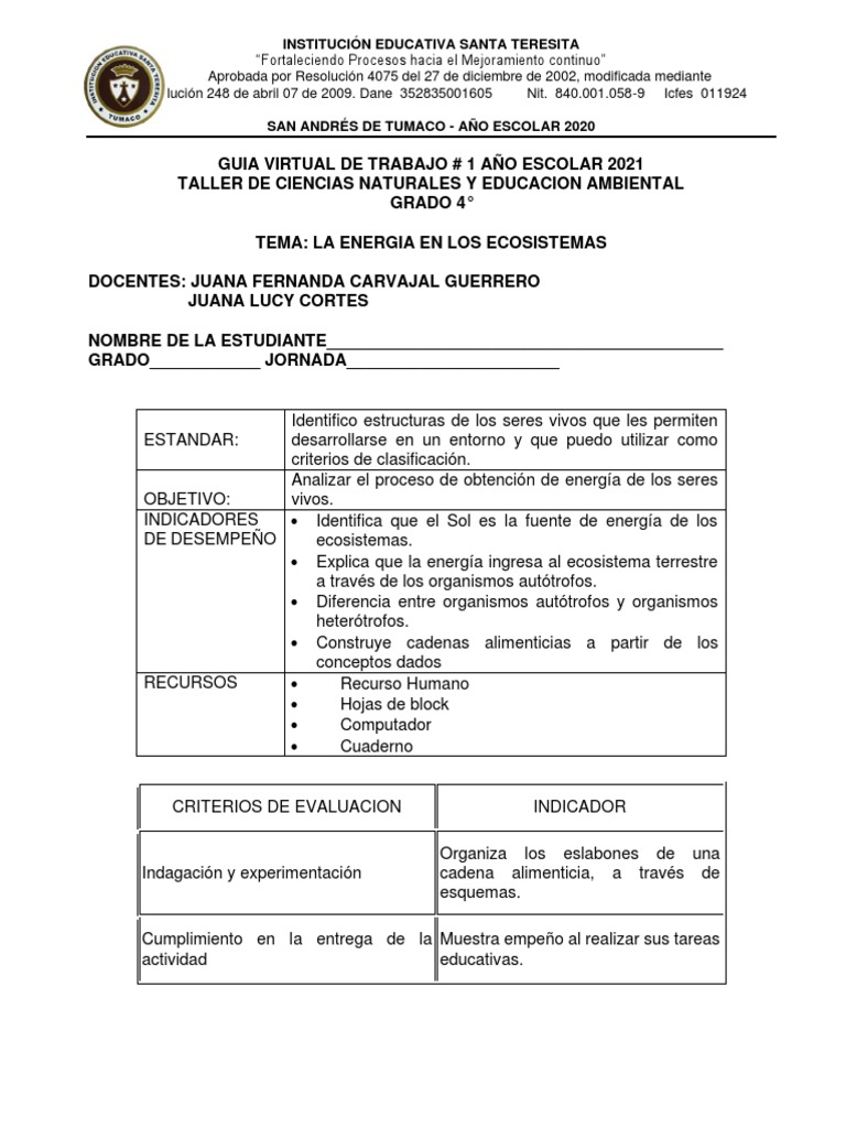 Energía en Ecosistemas para Niños | PDF | Organismos | Biología