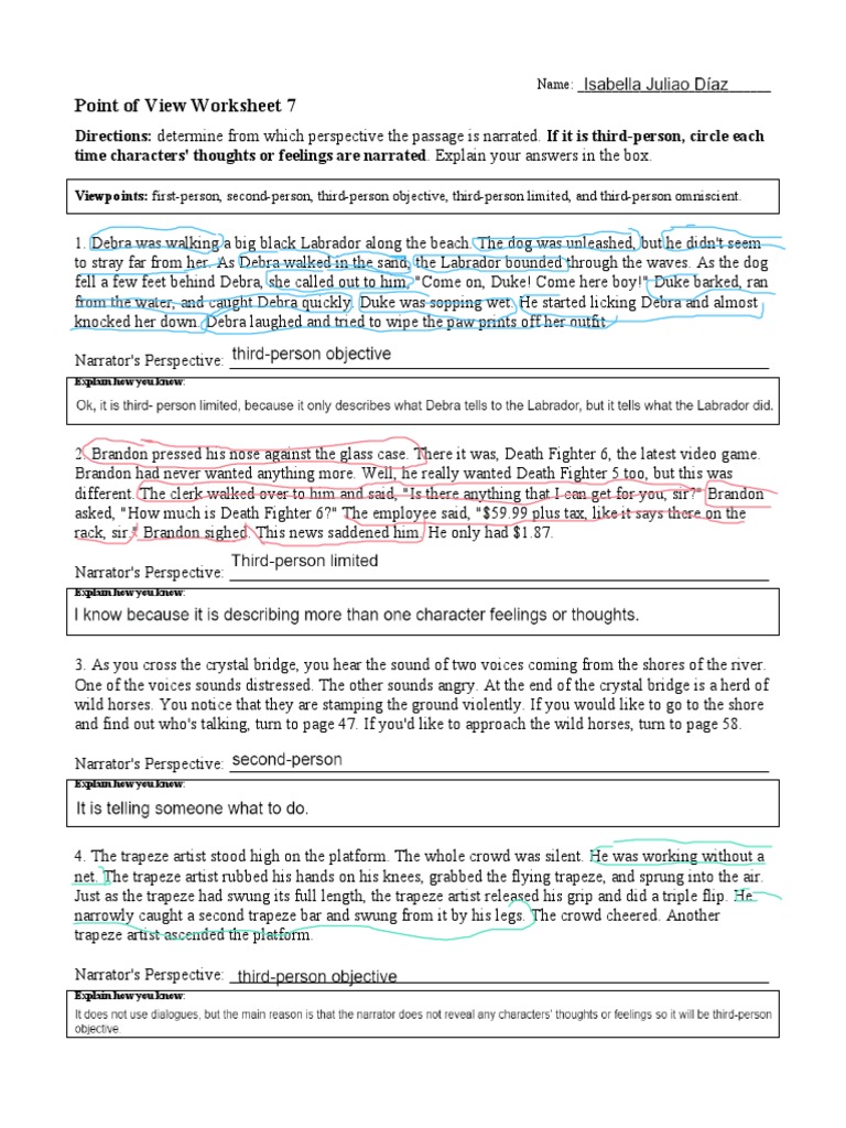 Point of View Analysis Worksheet 7 | PDF | Narration