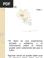 Cuestionario PAIN DETECT | PDF | Dolor