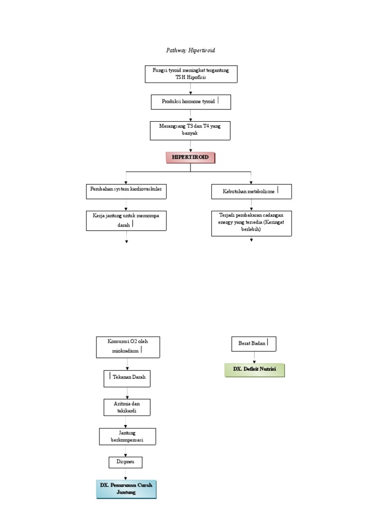 Pathway Hipertiroid | PDF