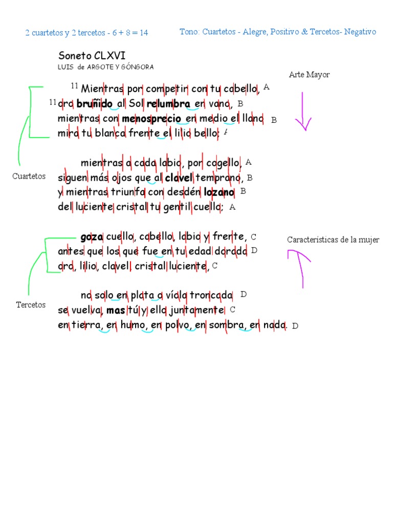 Kami Export - Jules Alvarez-Leyva - Clara Alvarez-Leyva - LUIS de ...