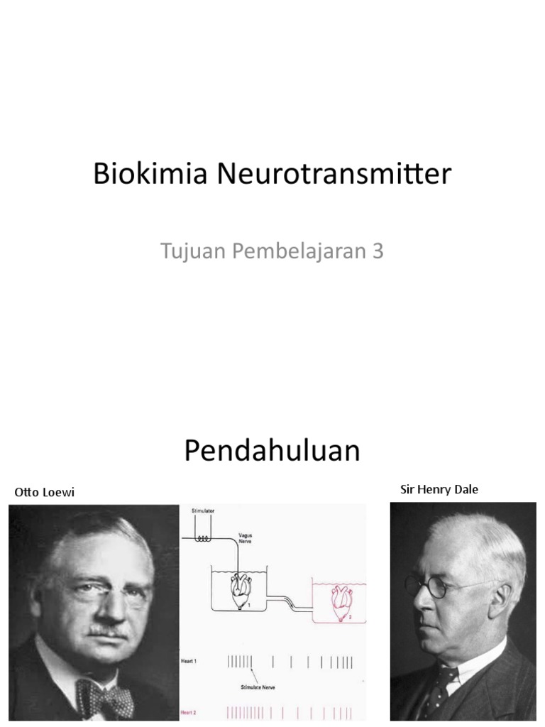 Biokimia Neurotransmitter | PDF | Kesehatan Holistik