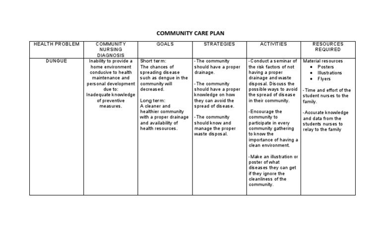 Community Care Plan | PDF | Public Health | Medicine