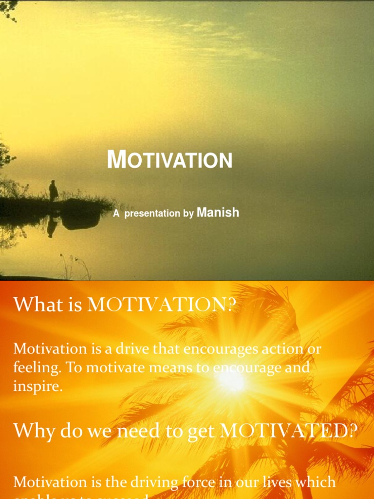 Understanding Motivation for Success | PDF