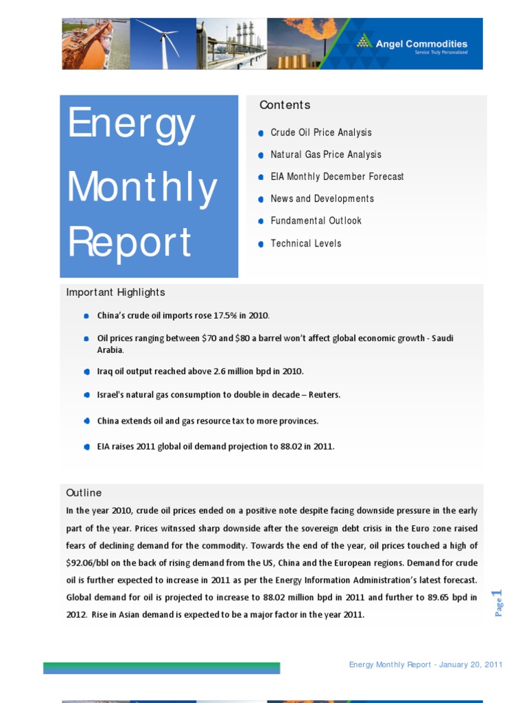 Energy Monthly Report - January | PDF | 2000s Energy Crisis | Opec