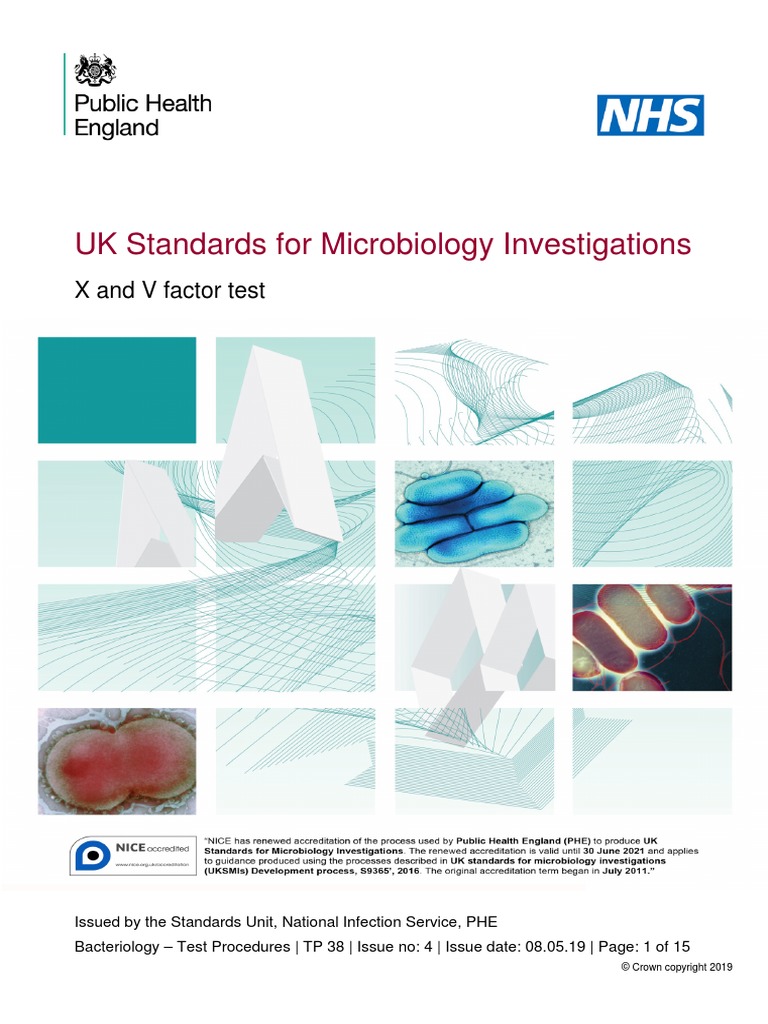 UK Standards For Microbiology Investigations: X and V Factor Test | PDF ...