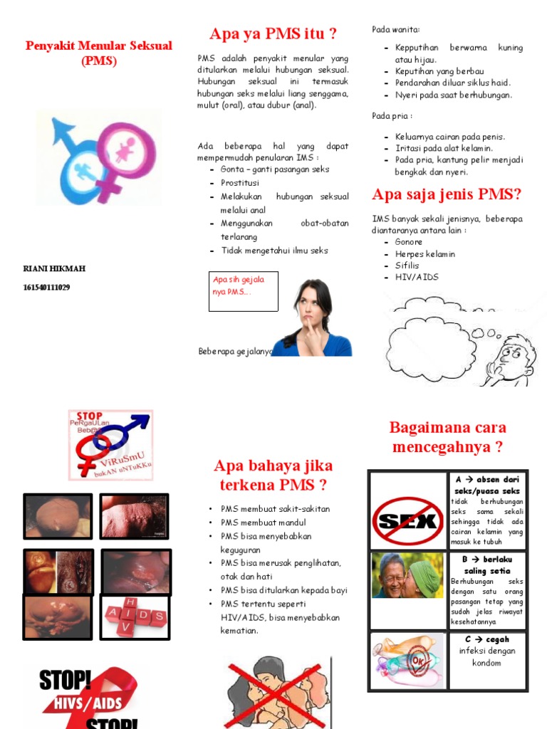 Leaflet IMS | PDF