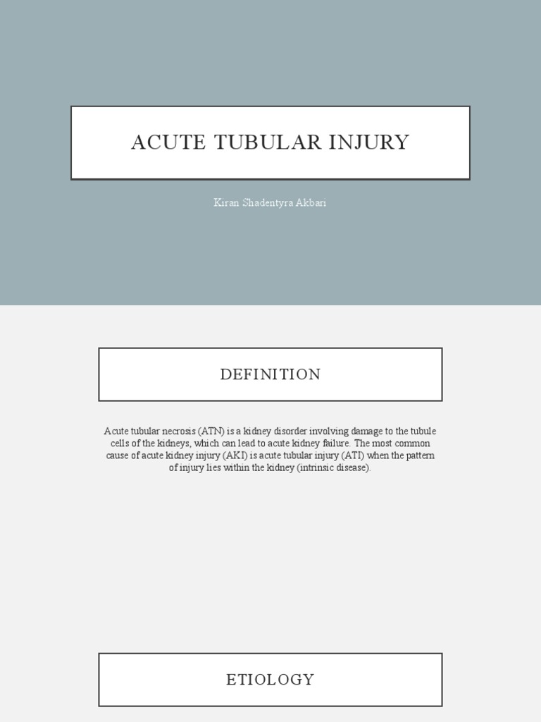 Understanding Acute Tubular Injury | PDF | Kidney | Endocrine System