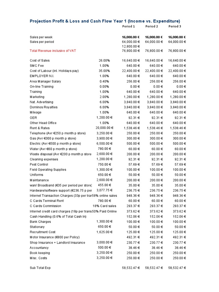 Projection Profit & Loss and Cash Flow Year 1 (Income vs. Expenditure ...