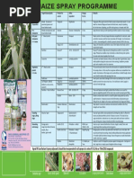 Highway Code Updated 2020 | PDF | Traffic | Traffic Light