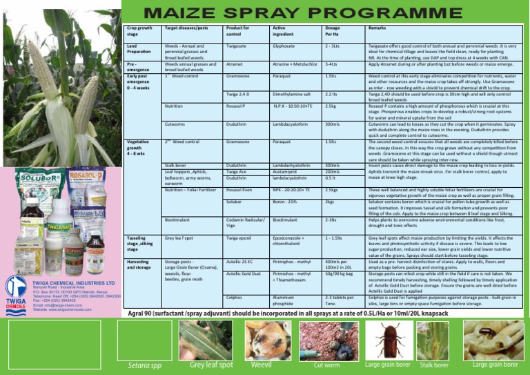 MAIZE Spray Program FINAL | PDF | Maize | Weed
