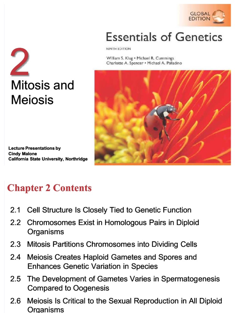 PDF Mitosis and Meiosis Lecture Presentations by Cindy Malone ...