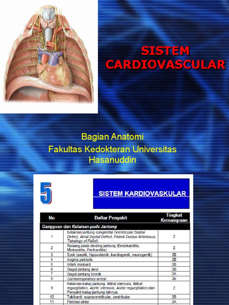Anatomi Cardiovascular | PDF