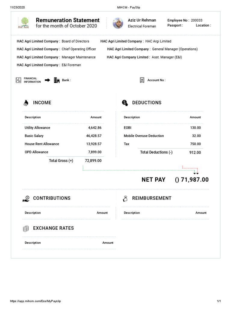Remuneration Statement: For The Month of October 2020 | Download Free ...