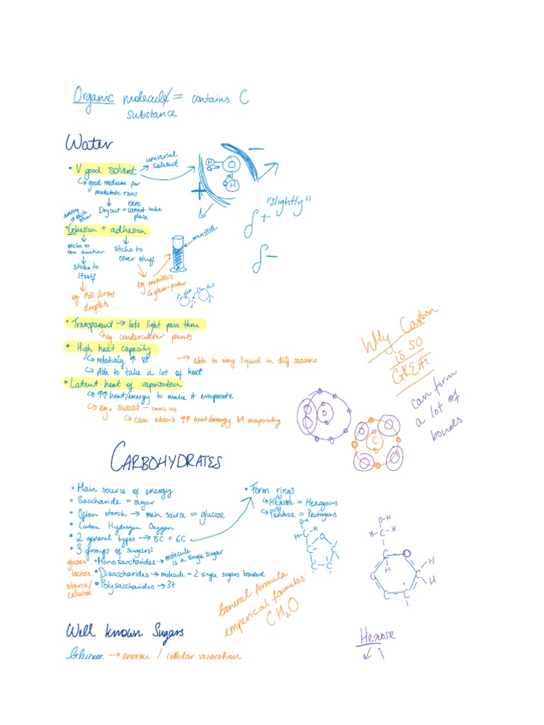 IGCSE Coordinated Sciences Biological Molecules | PDF | Carbohydrates ...