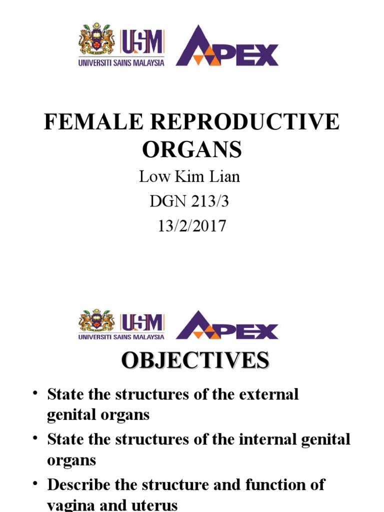 1.female Reproductive System | PDF | Uterus | Vagina