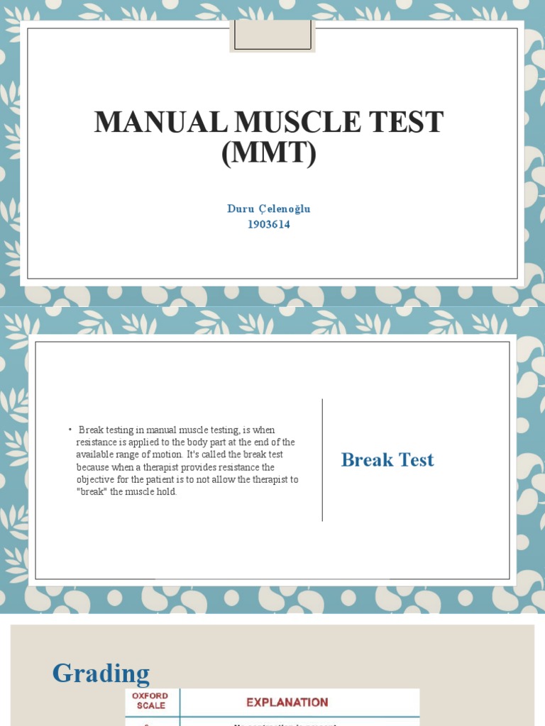 Manual Muscle Test | PDF | Anatomical Terms Of Motion | Lower Limb Anatomy