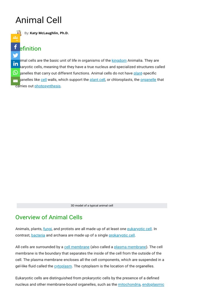 Animal Cell - The Definitive Guide Biology Dicti | PDF | Endoplasmic ... Animal Cell - The Definitive Guide Biology Dicti | PDF | Endoplasmic ...