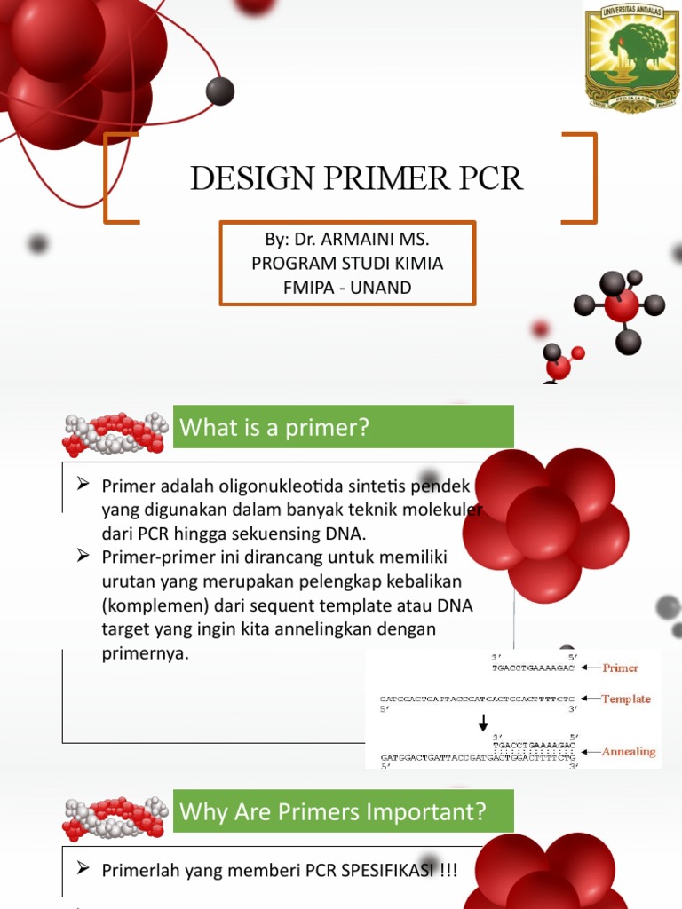 Design Primer PCR | PDF