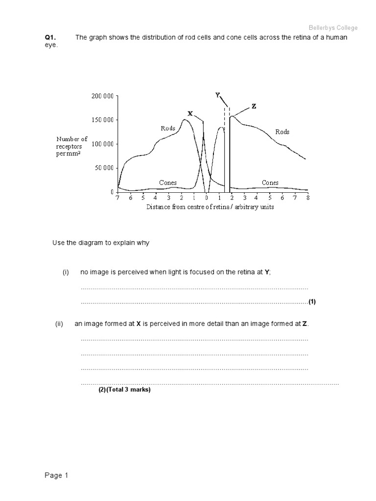 Q1. The Graph Shows The Distribution of Rod Cells and Cone Cells Across ...