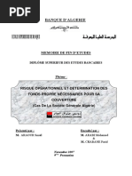 Presentation 1 | PDF | Risque opérationnel | Risque