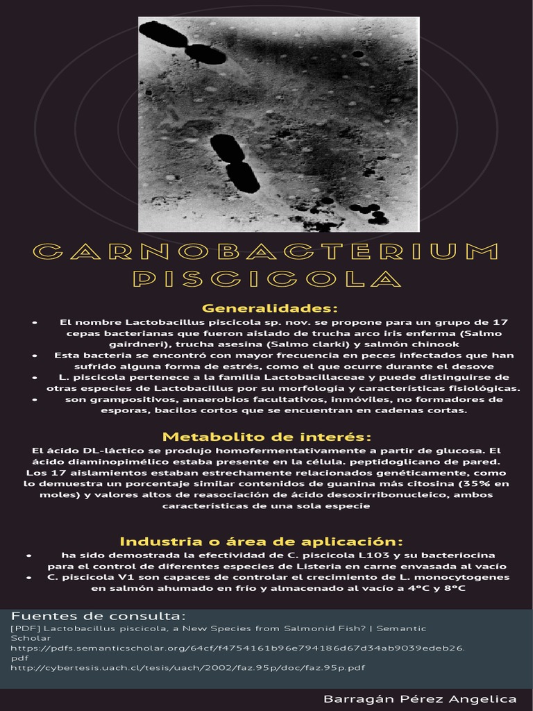 Carnobacterium Piscicola | PDF