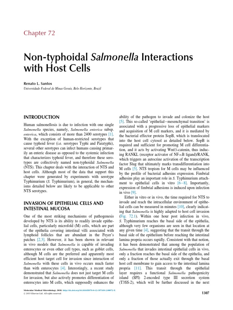 Non Typhoidal Salmonella Interaction | PDF | Salmonella | Toll Like ...
