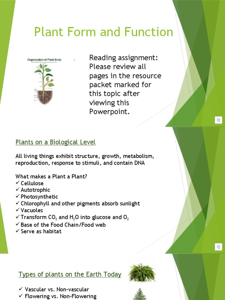 Plant Form and Function | PDF | Plants | Leaf