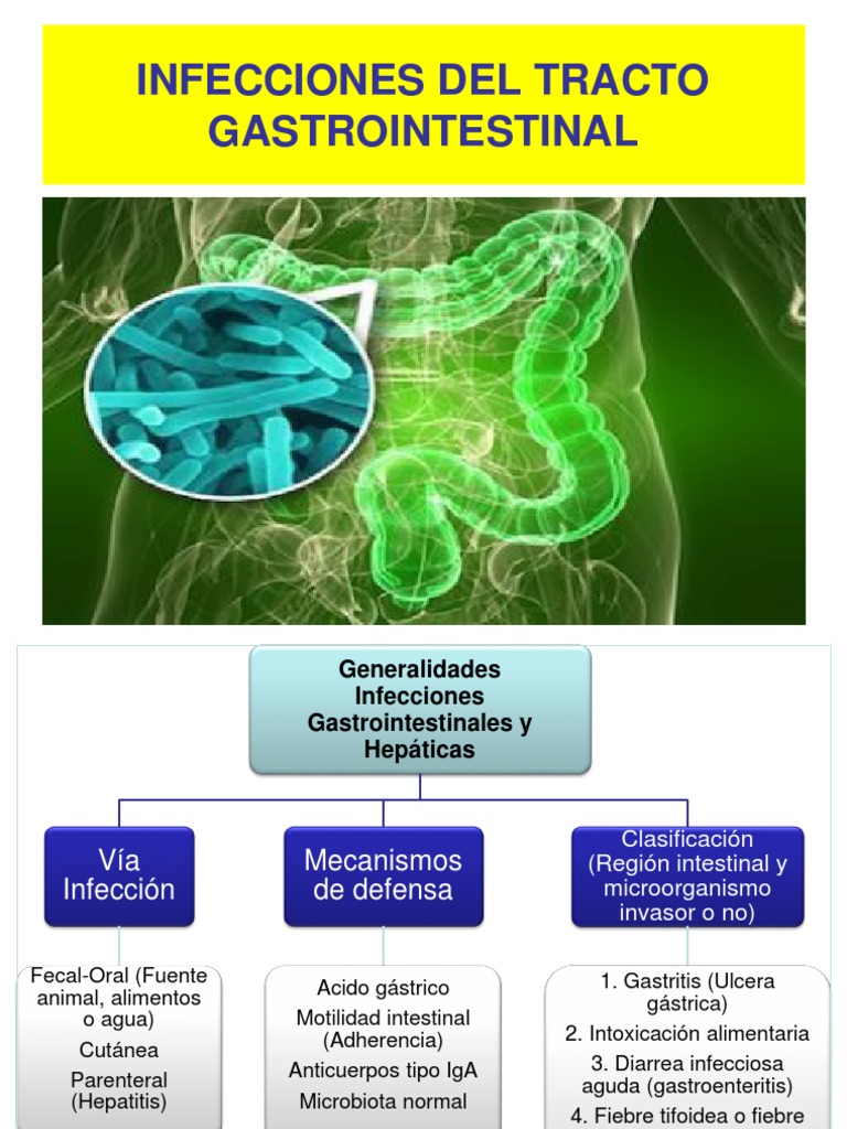 Infecciones Gastrointestinales Diarrea Infecciosa Aguda | PDF | Diarrea ...