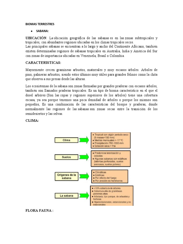 Biomas Terrestres Majo | PDF | Selva | Zona tropical