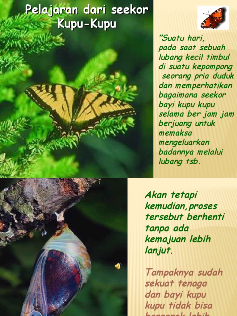 Belajar Dari Kupu-Kupu | PDF | Filsafat | Agama & Spiritualitas