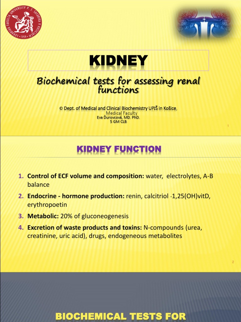 Kidney: Biochemical Tests For Assessing Renal Functions | PDF ...