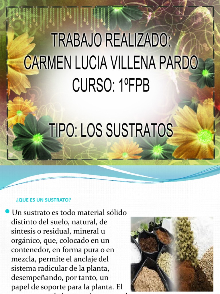 Tipos de Sustratos | PDF | Materiales | Química