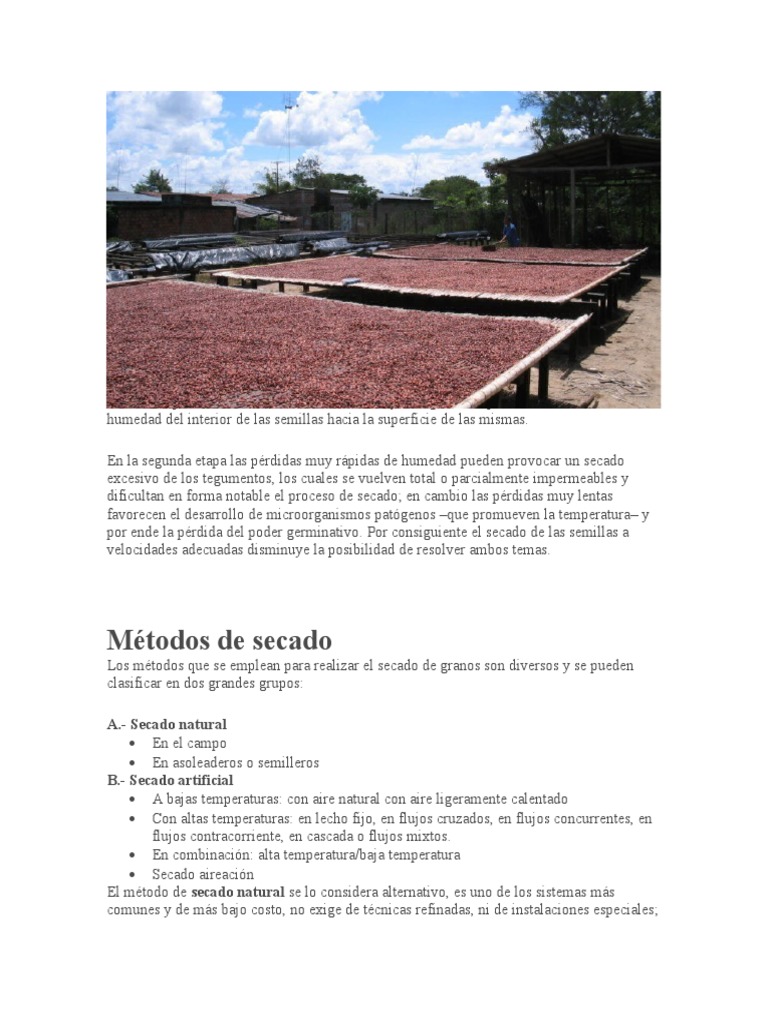 La Importancia Del Secado De Semillas Pdf Temperatura Clima