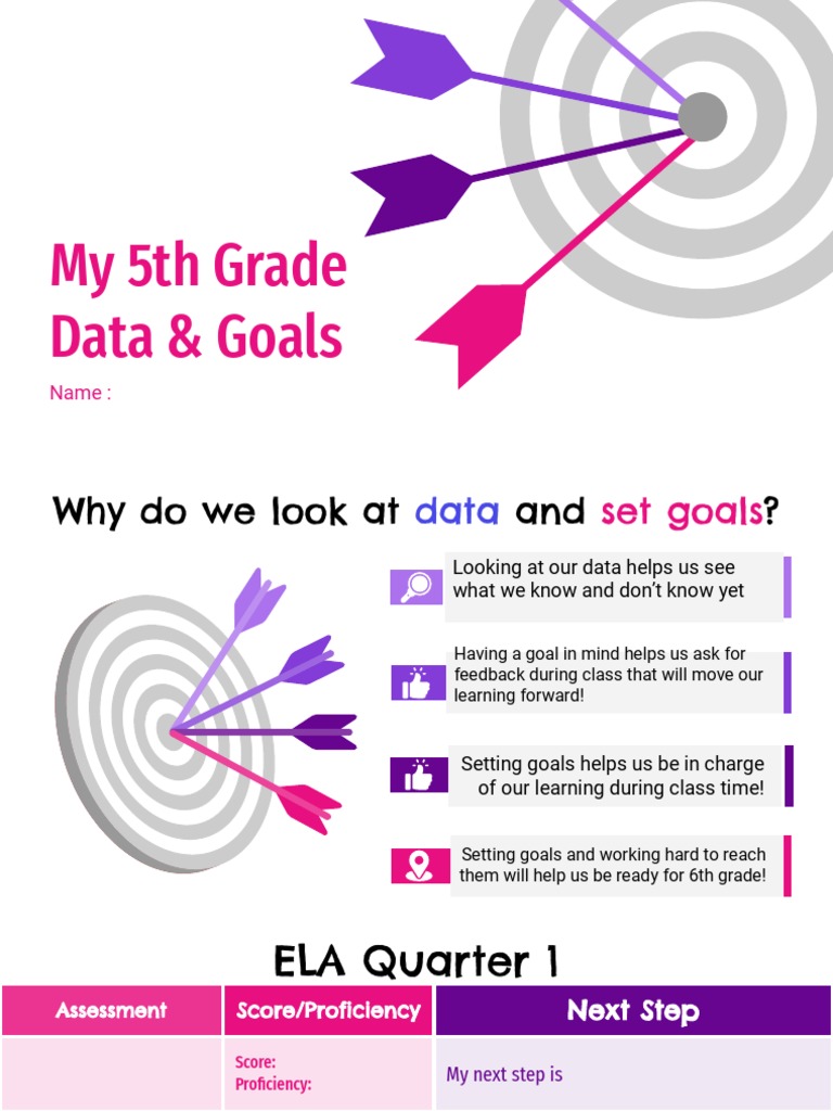 Data Goal Setting | PDF