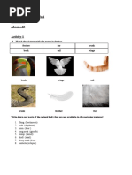 Guide - Class Setups - Official Calamity Mod Wiki | PDF