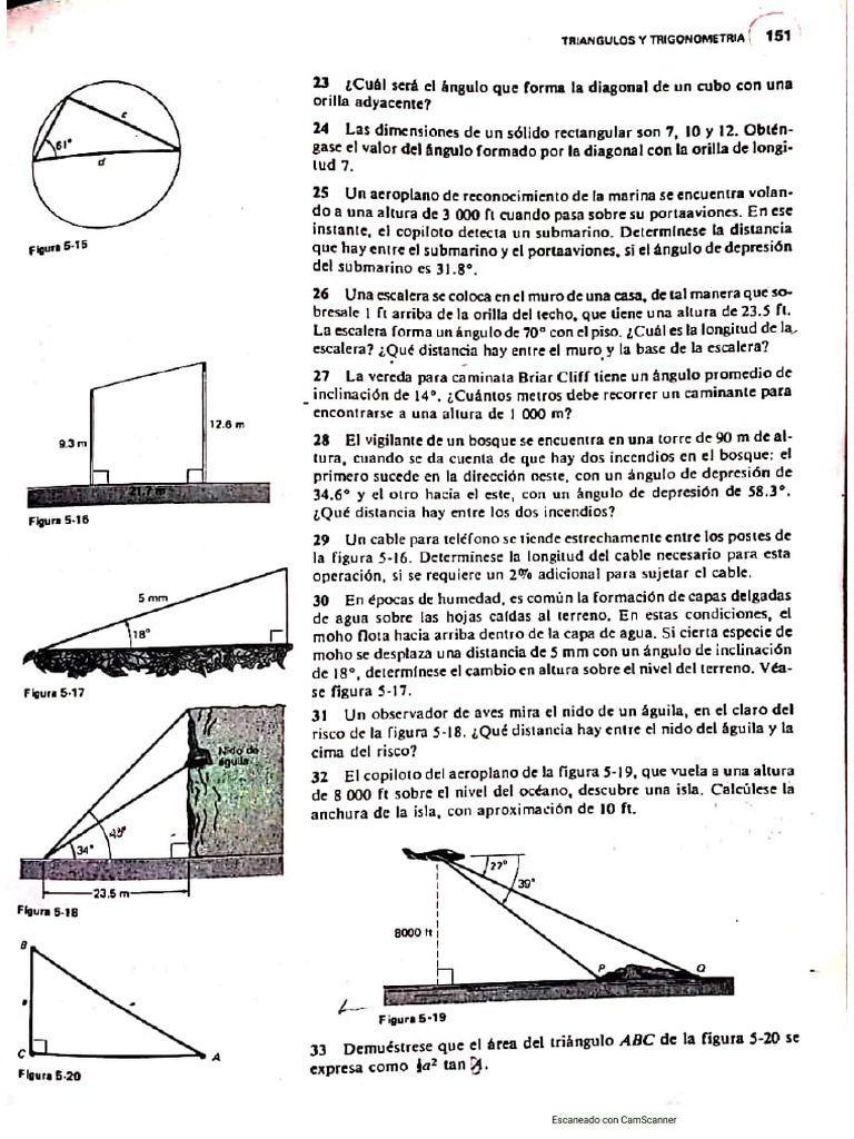 Trigo 4 | PDF